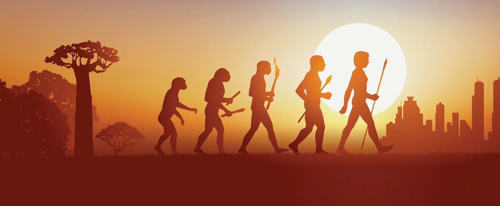 The evolution of male grooming