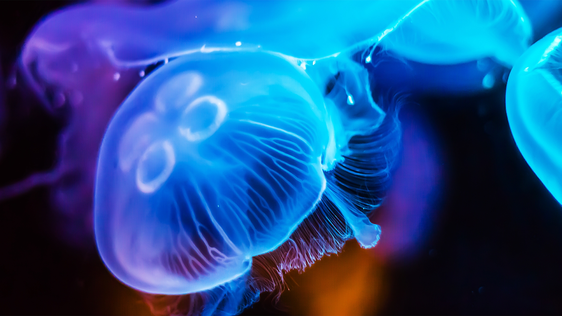 A Q&A on Depth with our Executive Director, Creative Strategy, Dan ...